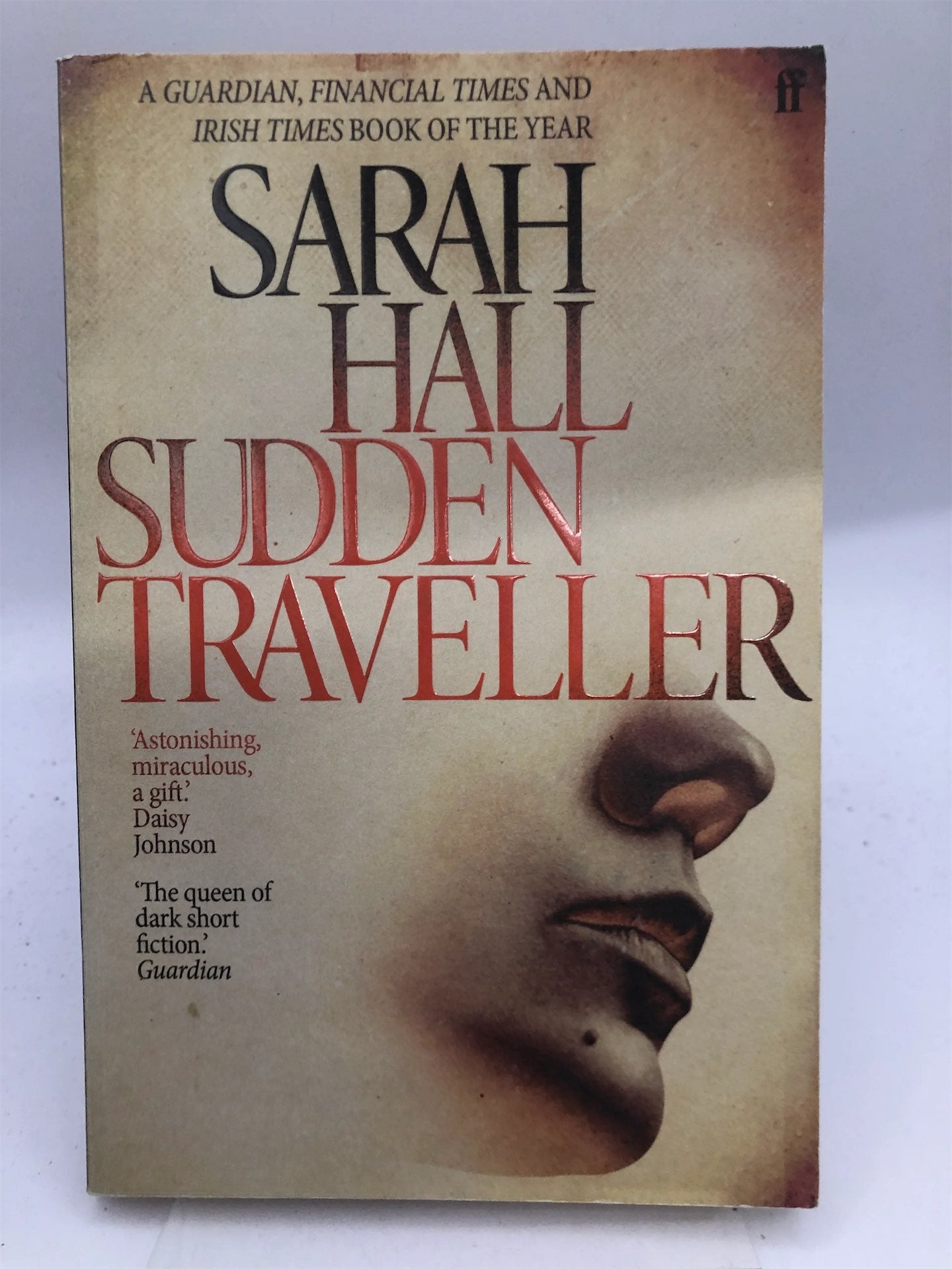 Sudden Traveller by Sarah Hall – Book Express
