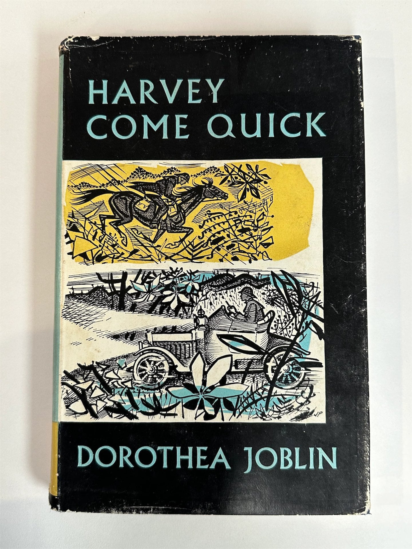 Harvey Come Quick by Dorothea Joblin – Book Express