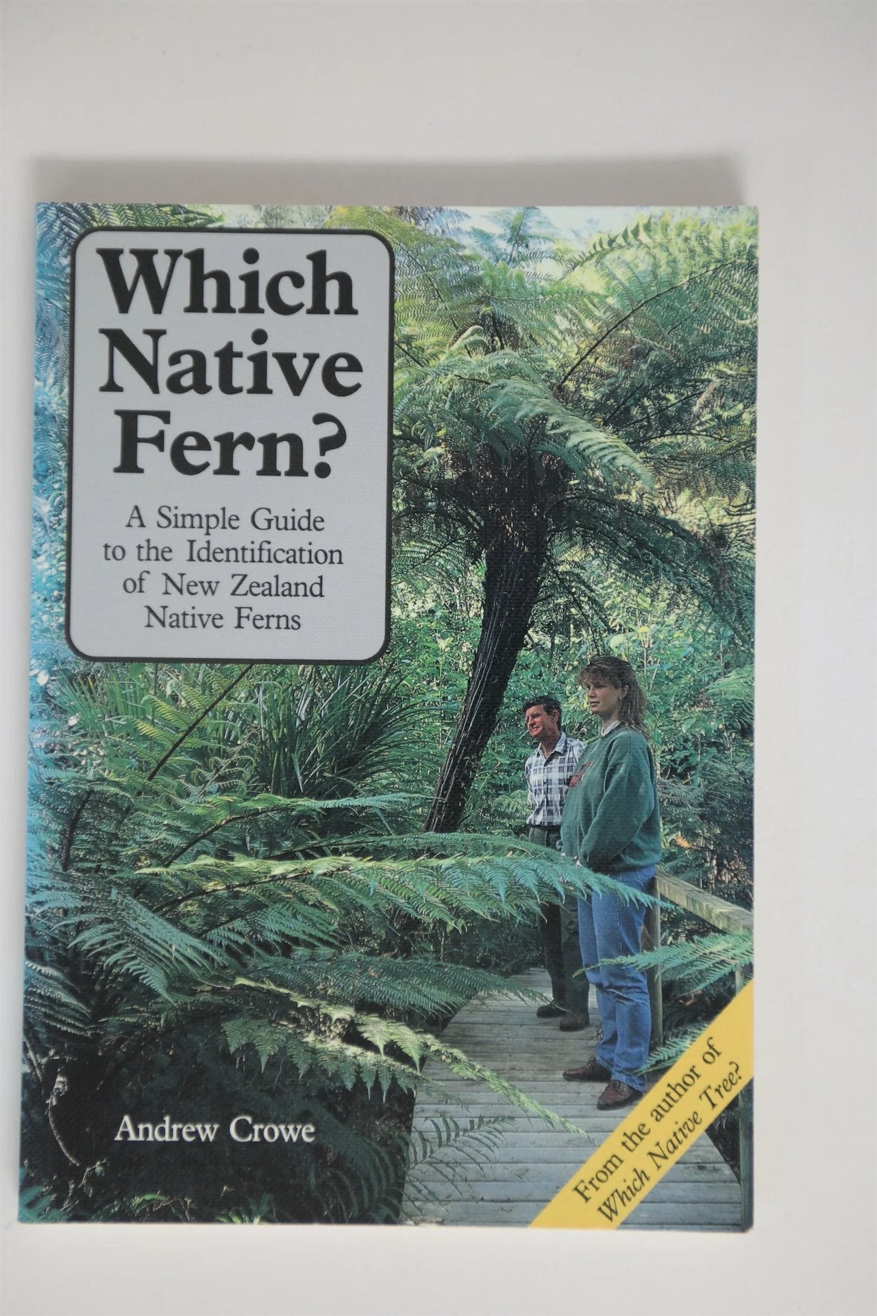 Which native fern? A simple guide to the identification of New Zealand ...