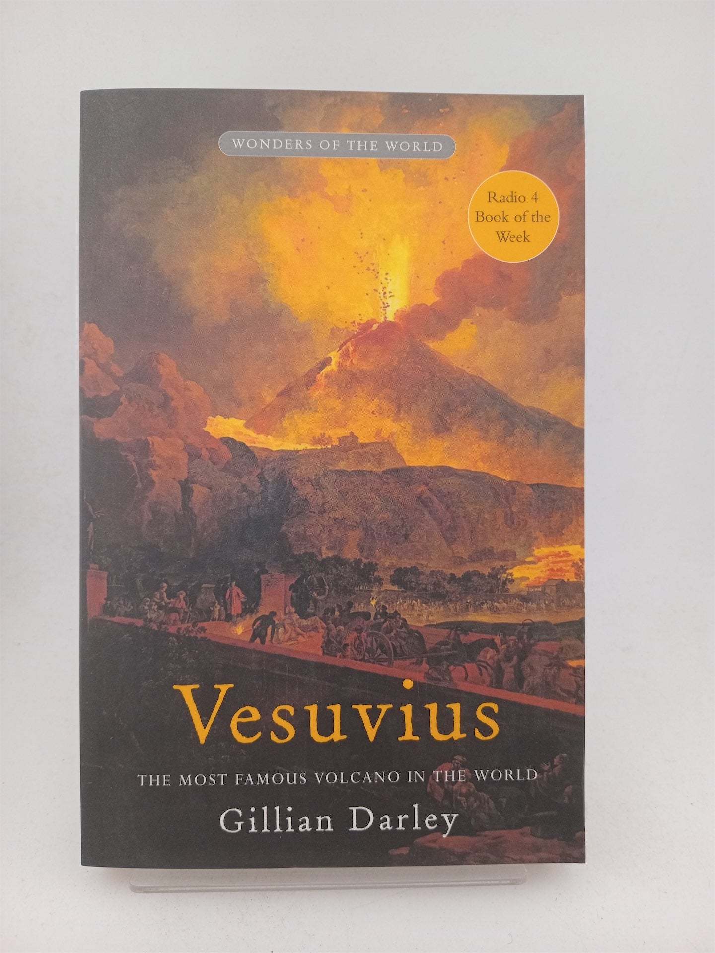 Vesuvius: The most famous volcano in the world by Gillian Darley – Book ...